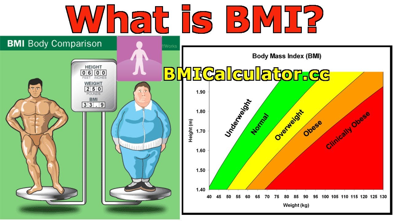 Calcolo Del BMI Vivo Di Benessere Calcolo Del BMI Vivo Di Benessere