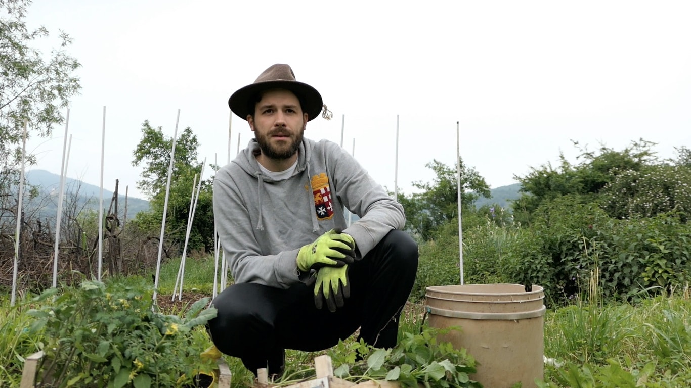 Matt The Farmer: come fare agricoltura con i social! - Vivo di Benessere