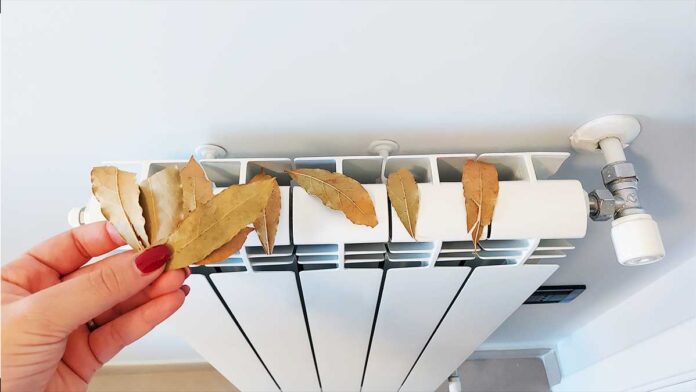 Come Profumare tutte le Stanze con il Calore dei Termosifoni!