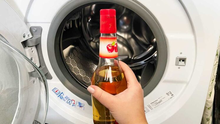 Fai tornare la Lavatrice come nuova con l'Aceto di Mele