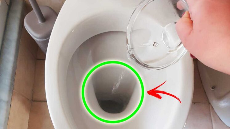 Usa questo Metodo se vuoi sciogliere i blocchi di Calcare presenti nel WC!