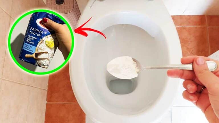 Come togliere il Calcare e sbiancare il Wc con un solo Cucchiaio di Farina