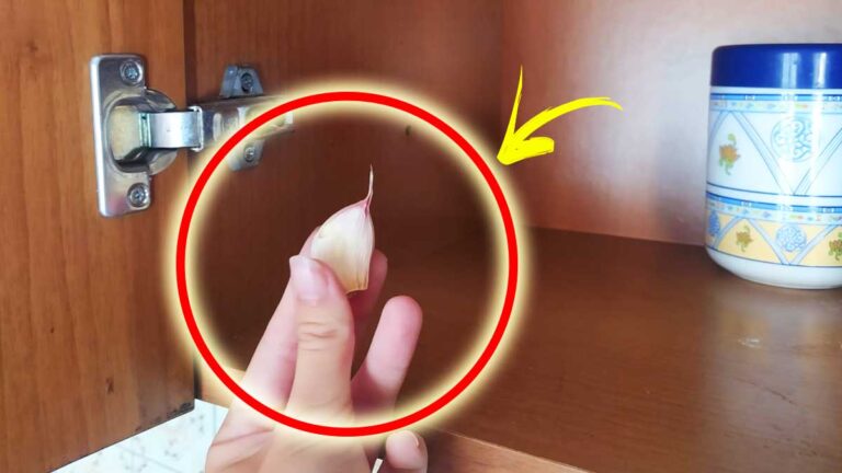 Puoi allontanare i Tarli dai mobili con questi semplici Rimedi Naturali