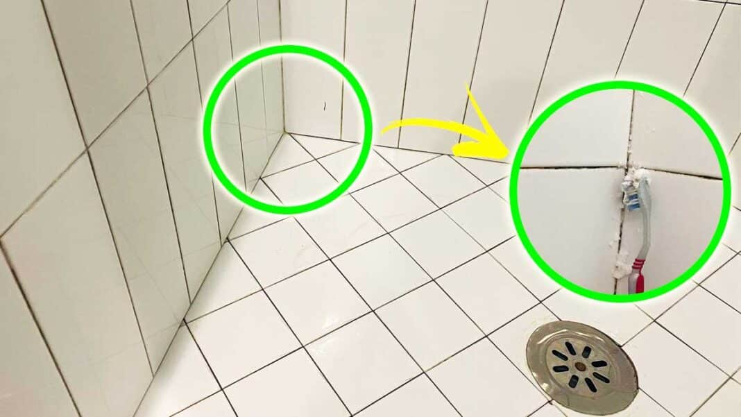 Come togliere la Muffa tra le Fughe della Doccia con questo ingrediente ...