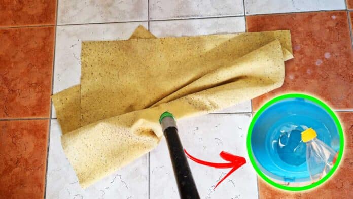 Come pulire e profumare il Pavimento che puzza d'uovo